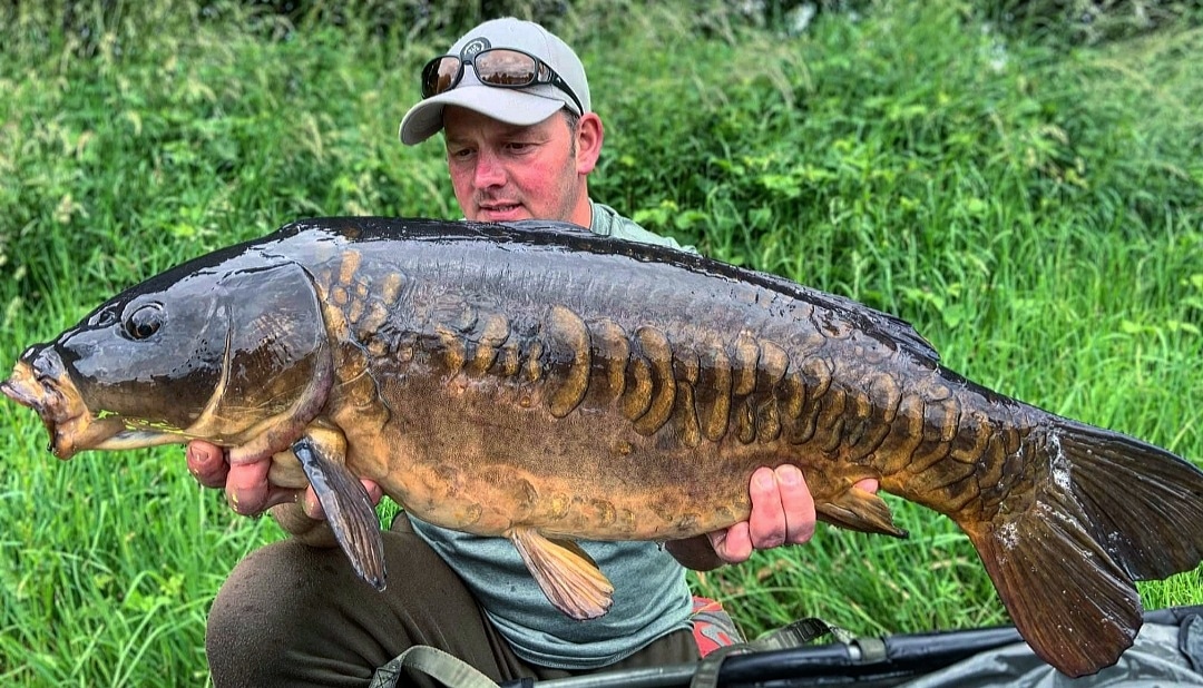 The little linear | Total Carp